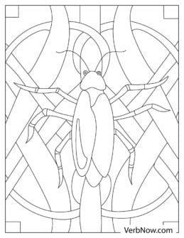Free Cockroach Coloring Pages & Book for Download (Printable PDF) - VerbNow