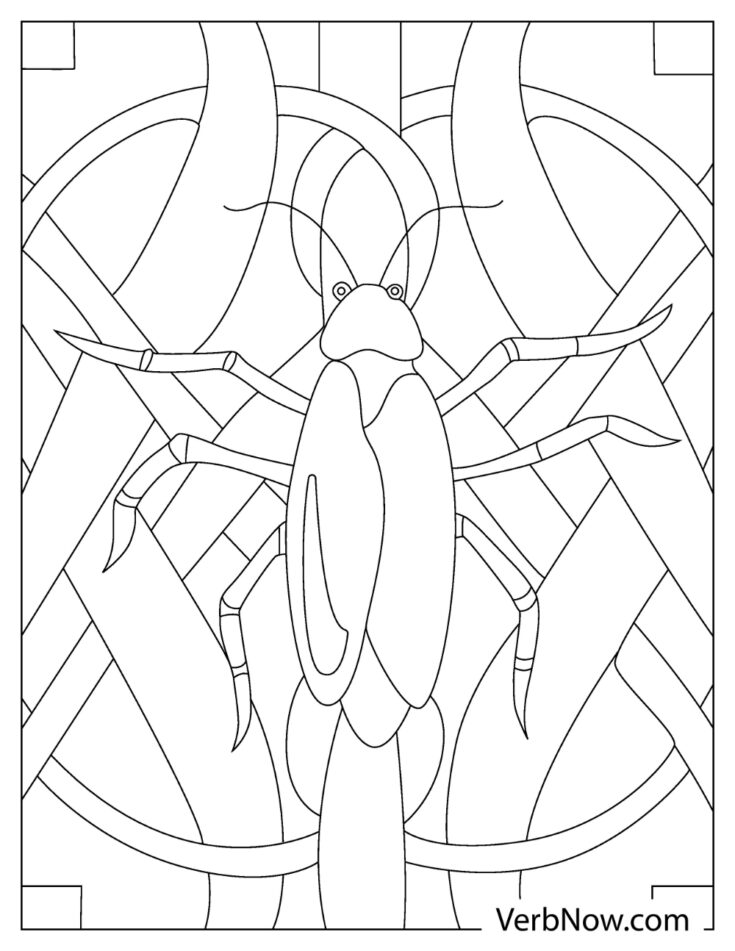 Free Cockroach Coloring Pages & Book for Download (Printable PDF) - VerbNow