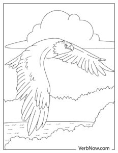 Free EAGLE Coloring Pages & Book for Download (Printable PDF) - VerbNow