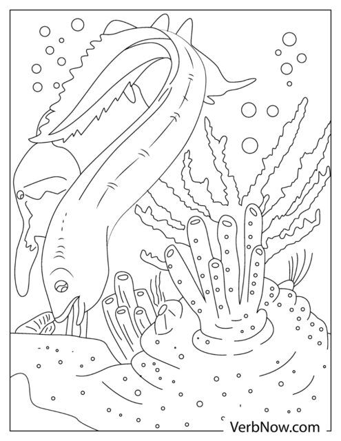 Free EEL Coloring Pages for Download (Printable PDF)