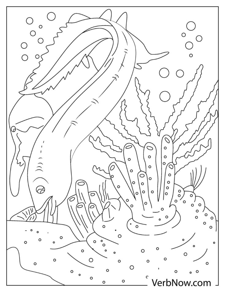Free EEL Coloring Pages for Download (Printable PDF)