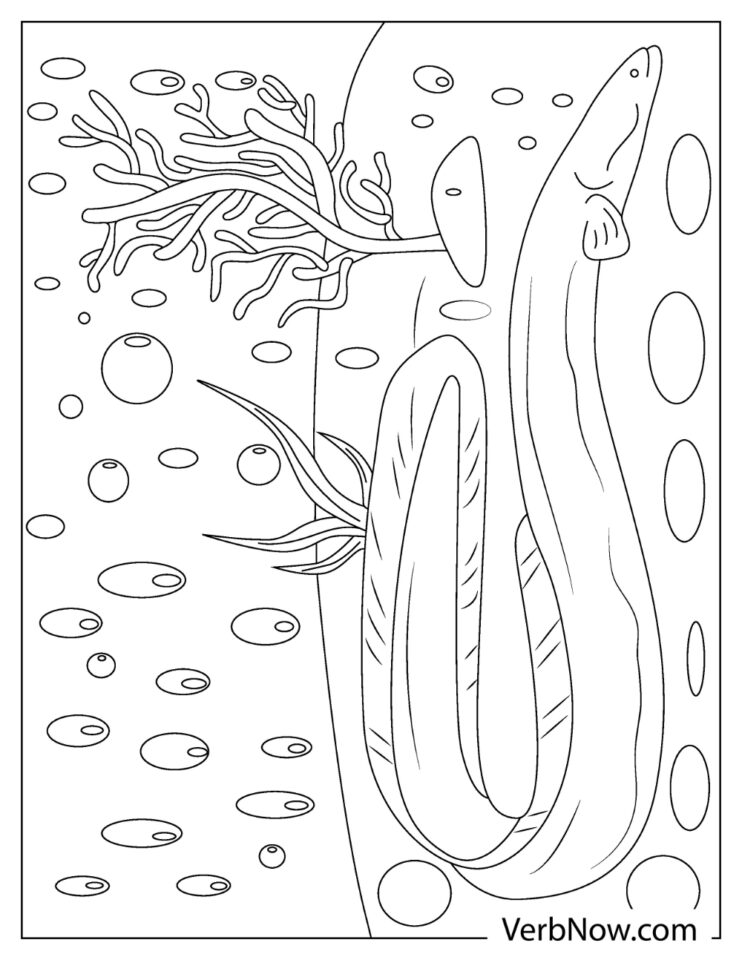 Free EEL Coloring Pages for Download (Printable PDF)