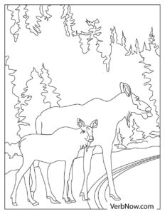 Free MOOSE Coloring Pages & Book for Download (Printable PDF) - VerbNow