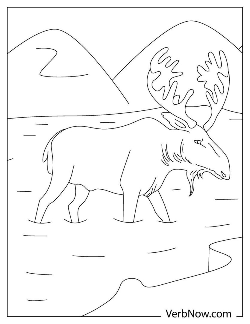 Free MOOSE Coloring Pages for Download (Printable PDF)