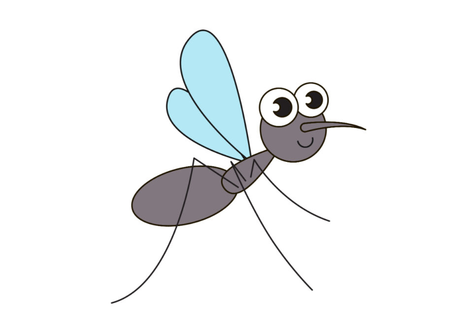 How to Draw a Mosquito in 13 Easy Steps