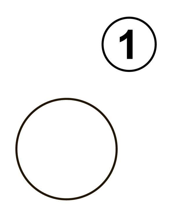 How to Draw a Potato Bug in 11 Easy Steps