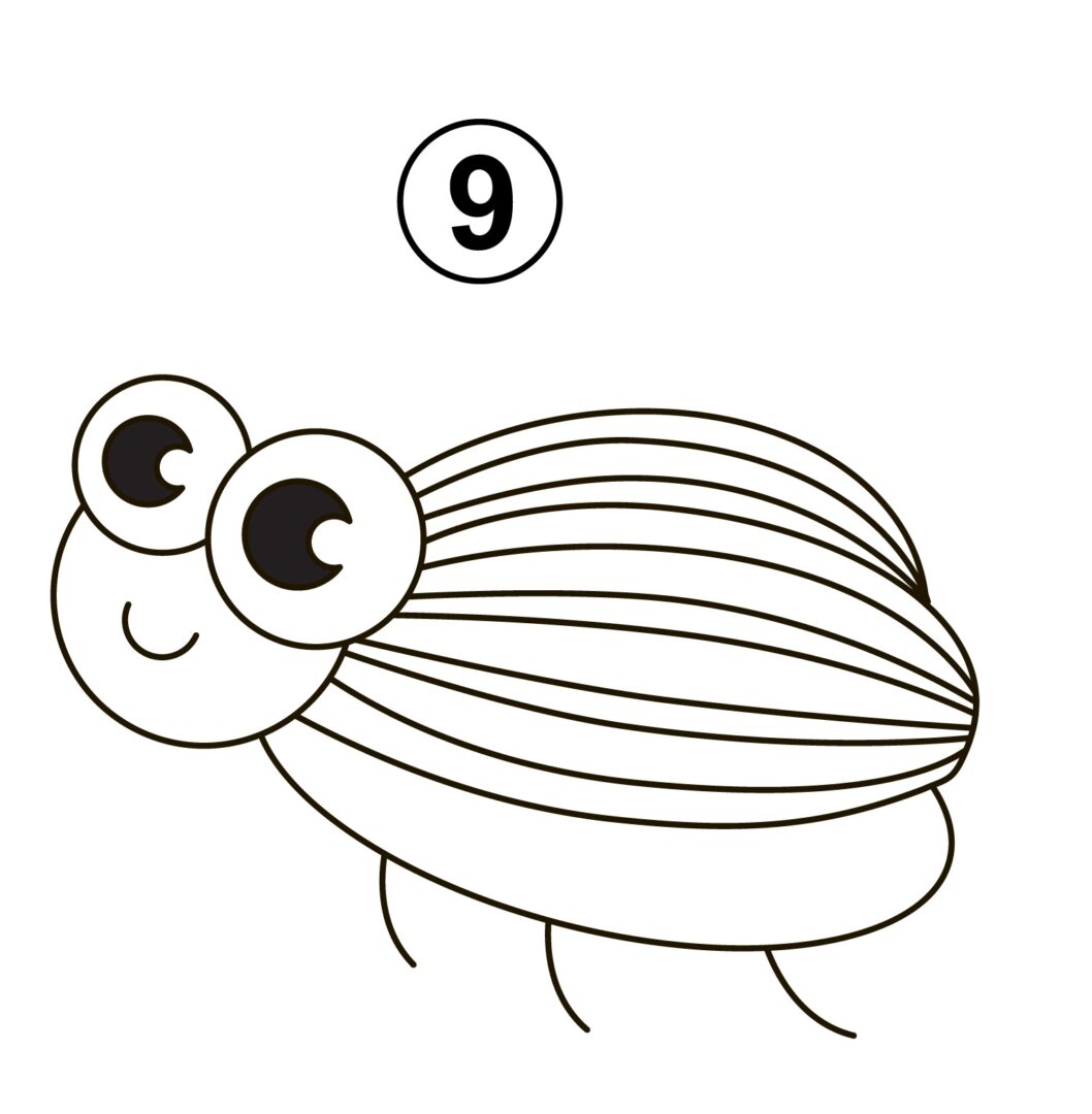 How to Draw a Potato Bug in 11 Easy Steps - VerbNow