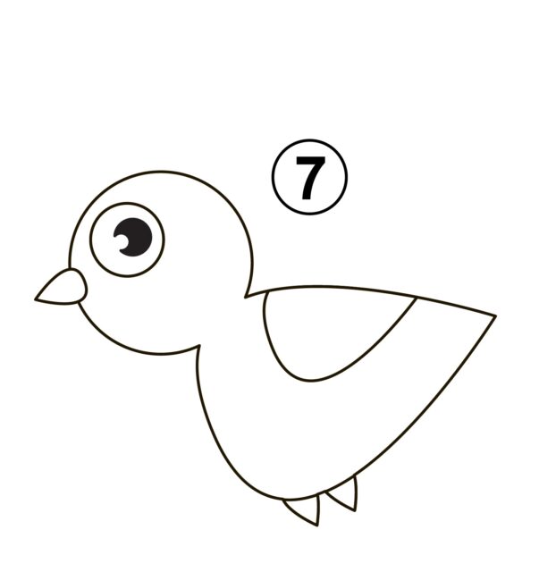 How to Draw a Quail in 11 Easy Steps