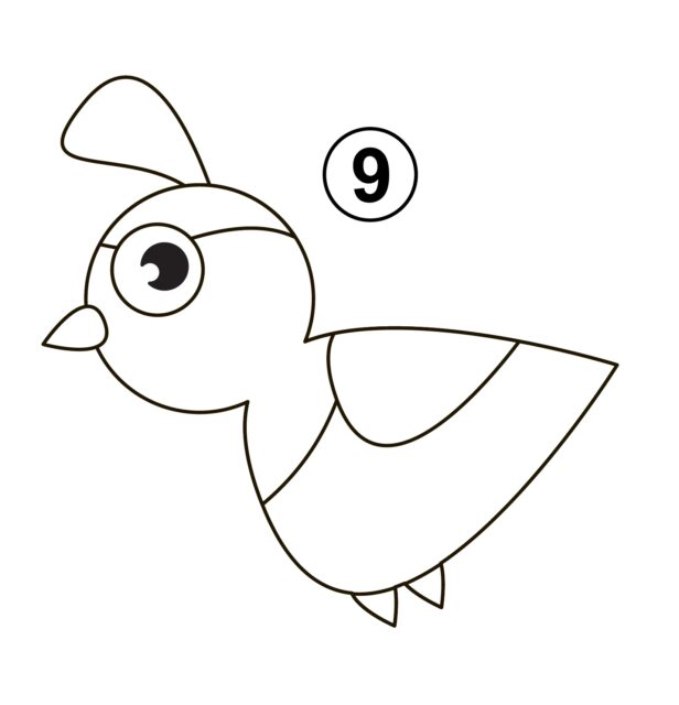 How to Draw a Quail in 11 Easy Steps - VerbNow