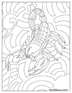 Free SCORPION Coloring Pages for Download (Printable PDF)