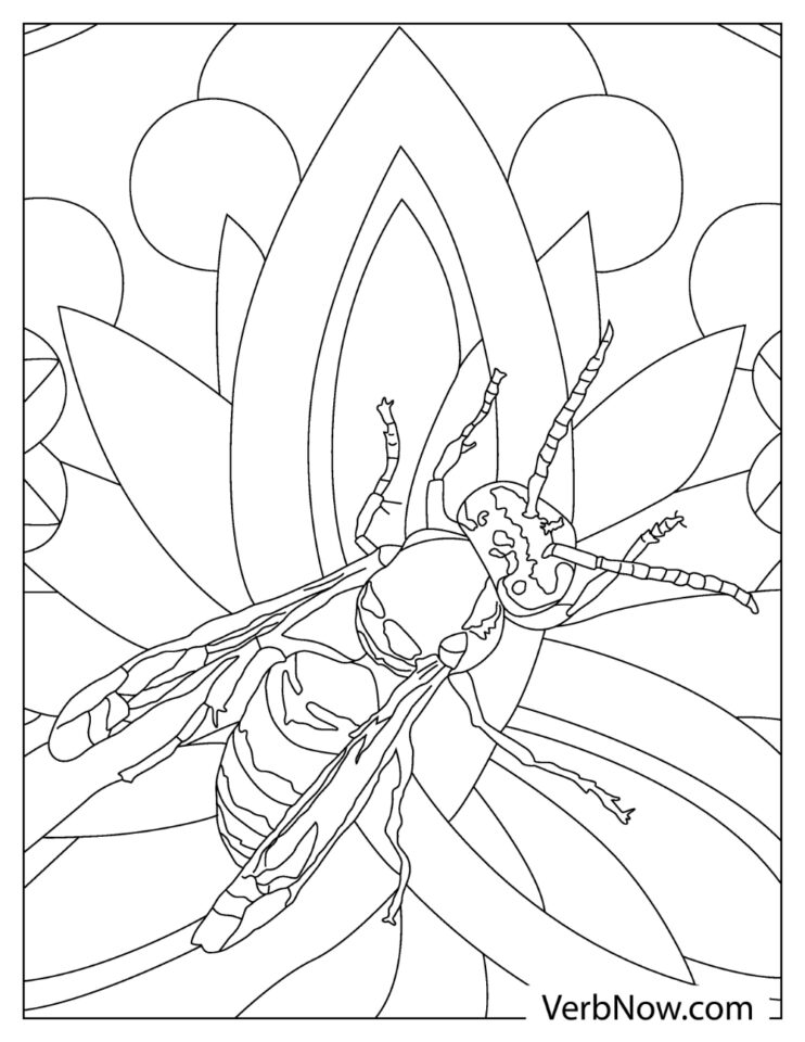 Free WASP Coloring Pages & Book for Download (Printable PDF) - VerbNow