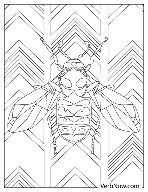 Free WASP Coloring Pages & Book for Download (Printable PDF) - VerbNow