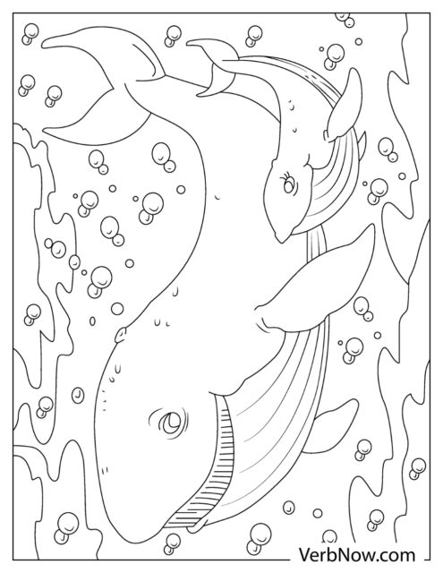 Free WHALE Coloring Pages for Download (Printable PDF)