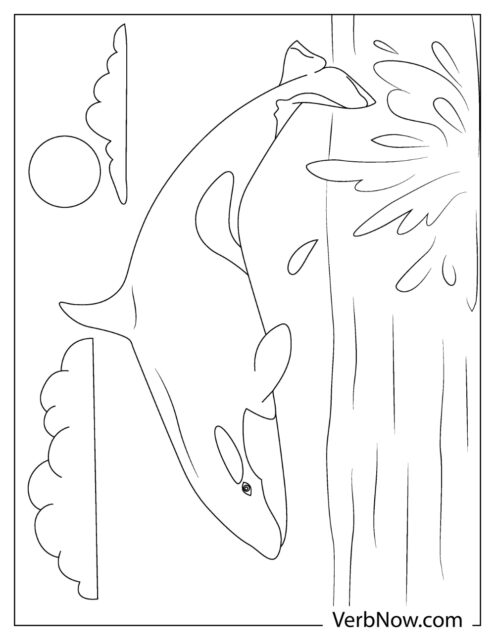 Free WHALE Coloring Pages for Download (Printable PDF)
