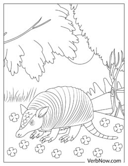 Free ARMADILLO Coloring Pages for Download (Printable PDF)