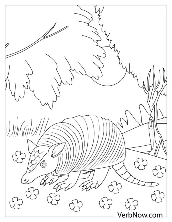 Free ARMADILLO Coloring Pages for Download (Printable PDF)