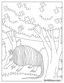 Free ARMADILLO Coloring Pages for Download (Printable PDF)