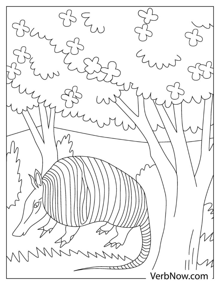Free ARMADILLO Coloring Pages for Download (Printable PDF)