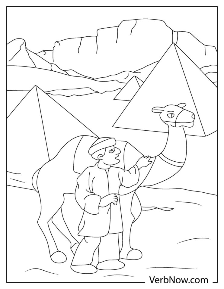 Free CAMEL Coloring Pages & Book for Download (Printable PDF) - VerbNow