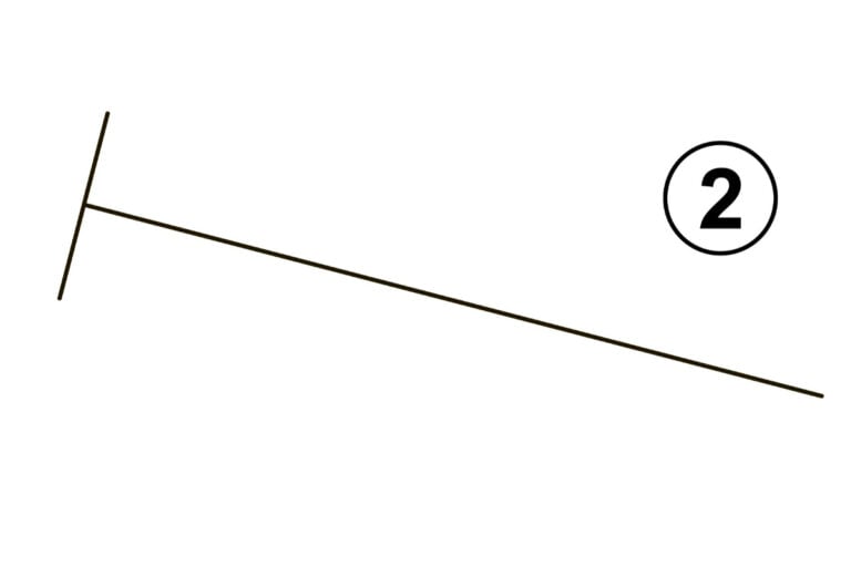 How to Draw a Carrot in 15 Easy Steps - VerbNow