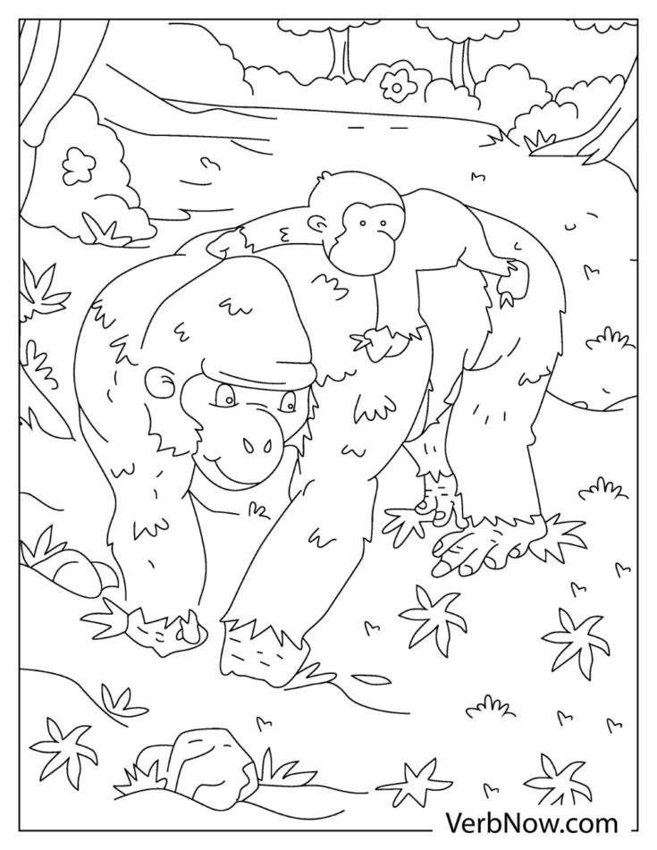 Free CHIMPANZEE Coloring Pages for Download (Printable PDF)