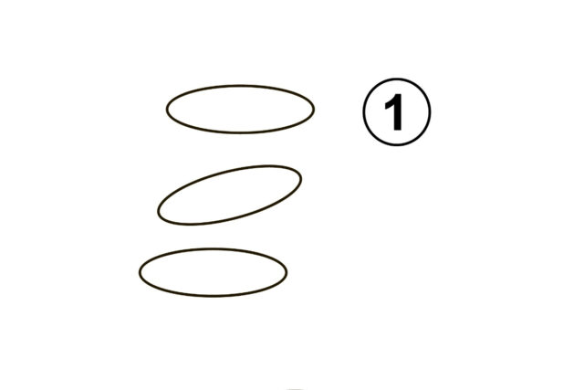 How to Draw Coins in 12 Easy Steps