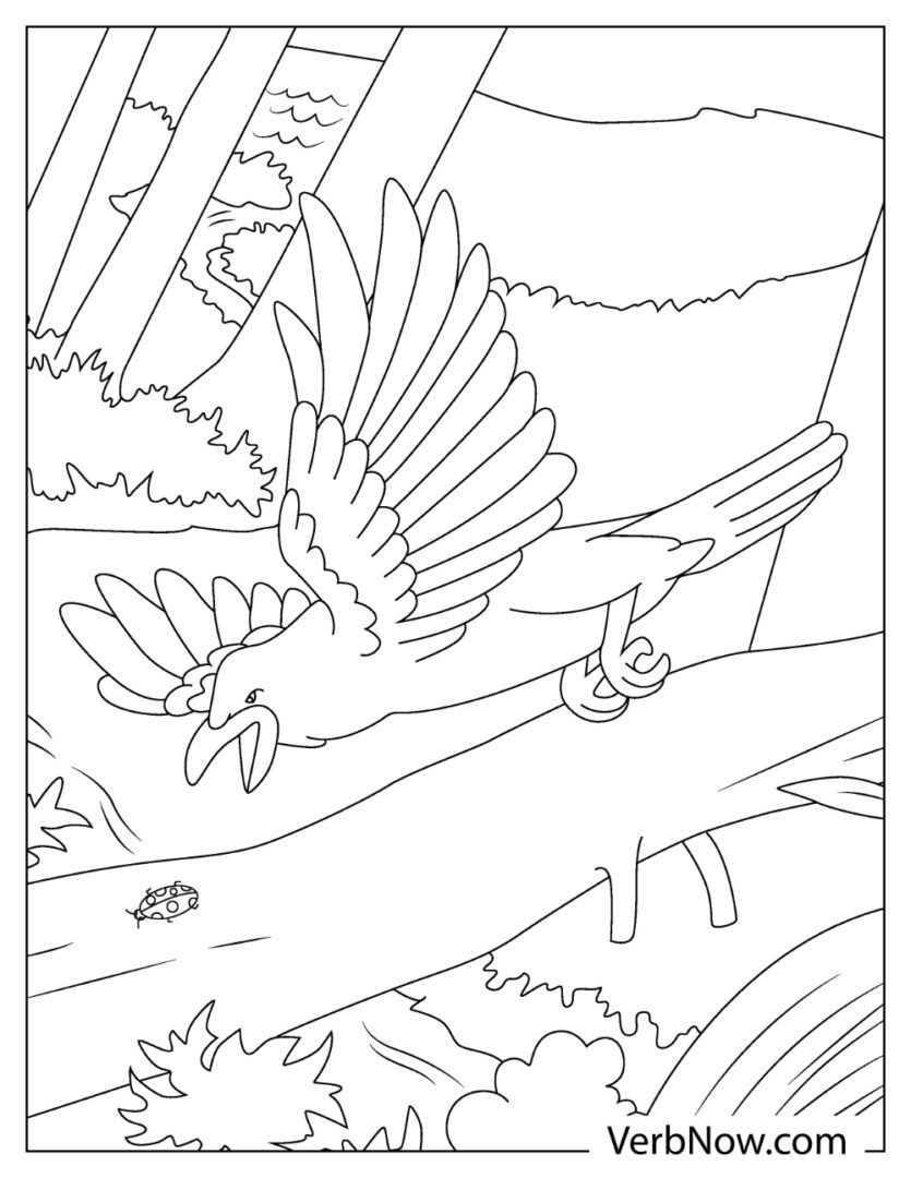 Free CROW Coloring Pages for Download (Printable PDF)