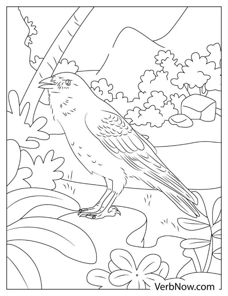 Free CROW Coloring Pages for Download (Printable PDF)