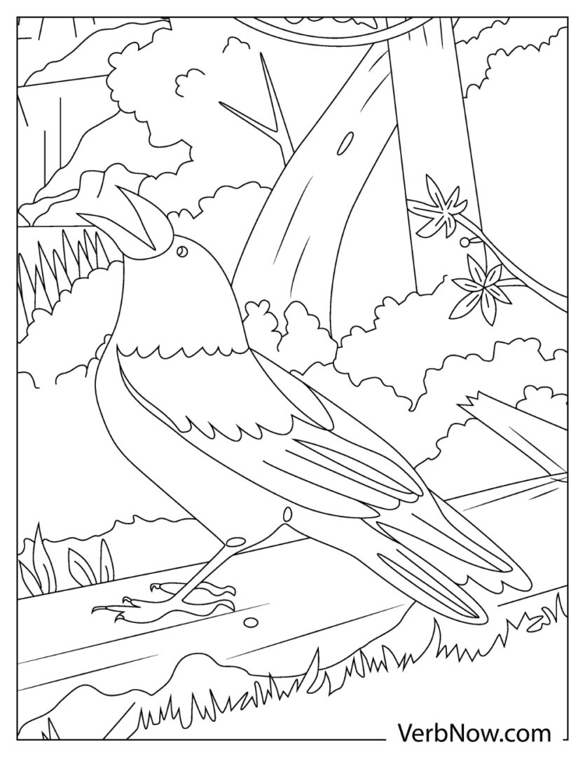 Free CROW Coloring Pages for Download (Printable PDF)