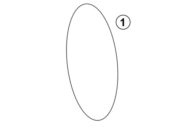How to Draw a Cucumber in 8 Easy Steps (for Kids)