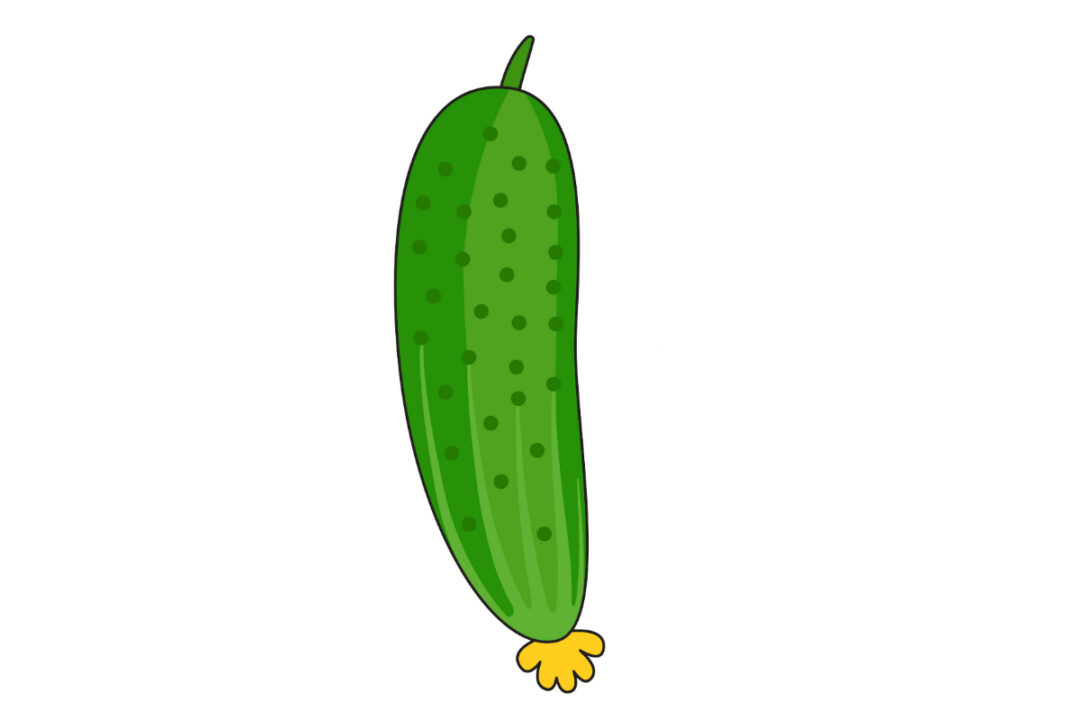 How to Draw a Cucumber in 8 Easy Steps (for Kids)