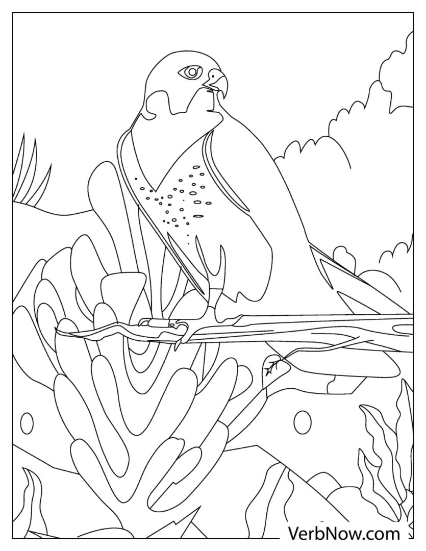 Free FALCON Coloring Pages for Download (Printable PDF)