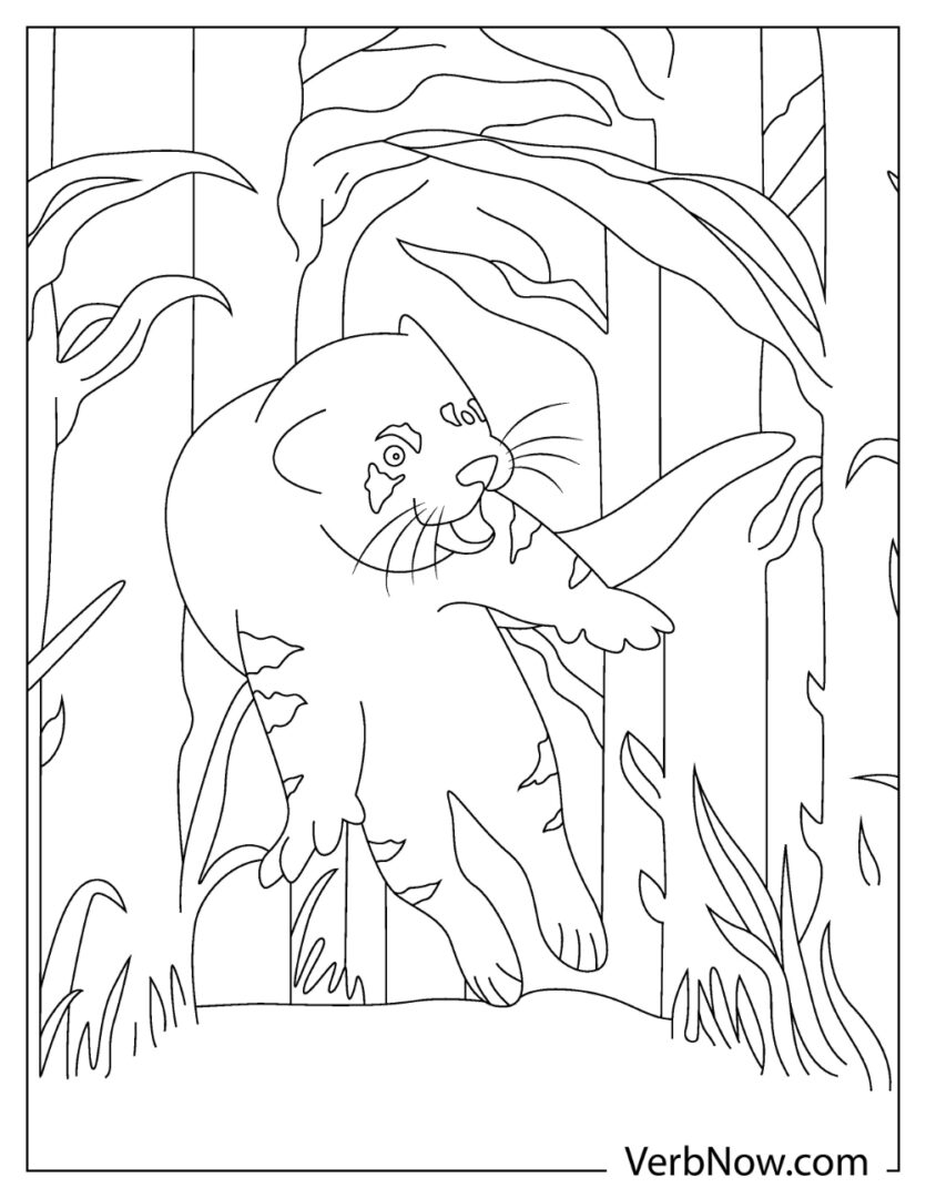 Free FERRET Coloring Pages for Download (Printable PDF)