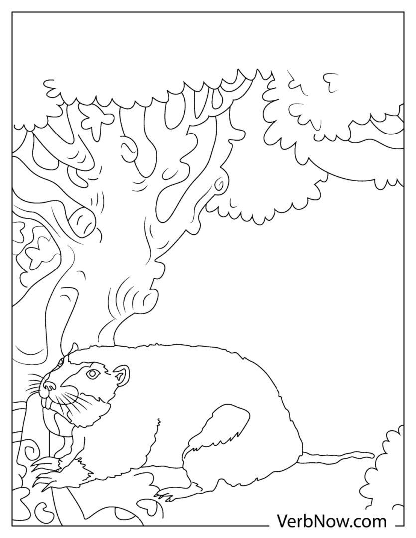 Free GOPHER Coloring Pages for Download (Printable PDF)