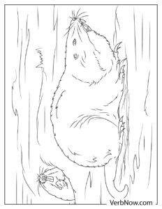 Free GOPHER Coloring Pages for Download (Printable PDF)