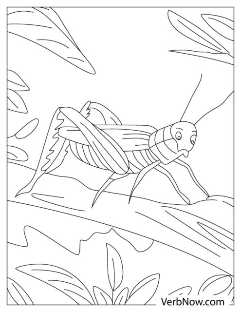 Free GRASSHOPPER Coloring Pages for Download (Printable PDF)