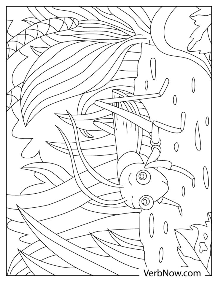 Free GRASSHOPPER Coloring Pages for Download (Printable PDF)
