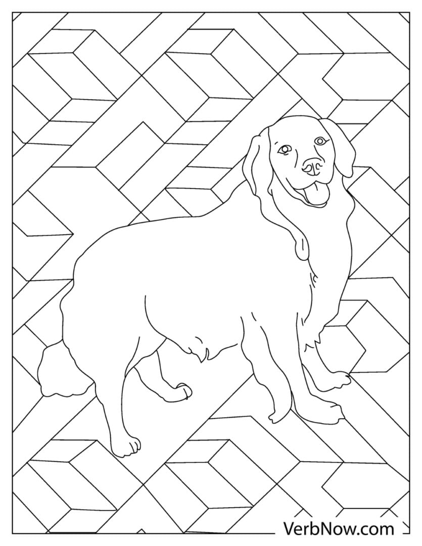 22 Free LABRADOR DOG Coloring Pages for Download (Printable PDF)