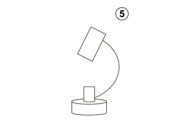 How to Draw a Microscope in 11 Easy Steps