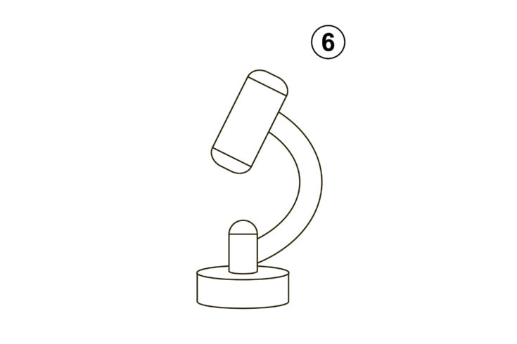How to Draw a Microscope in 11 Easy Steps