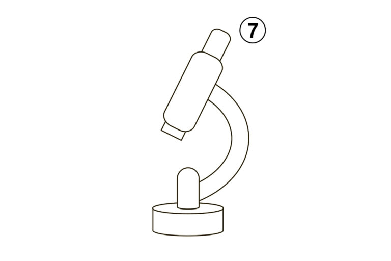 How to Draw a Microscope in 11 Easy Steps