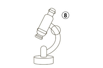 How to Draw a Microscope in 11 Easy Steps