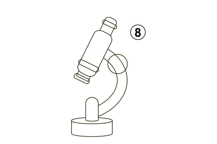 How to Draw a Microscope in 11 Easy Steps