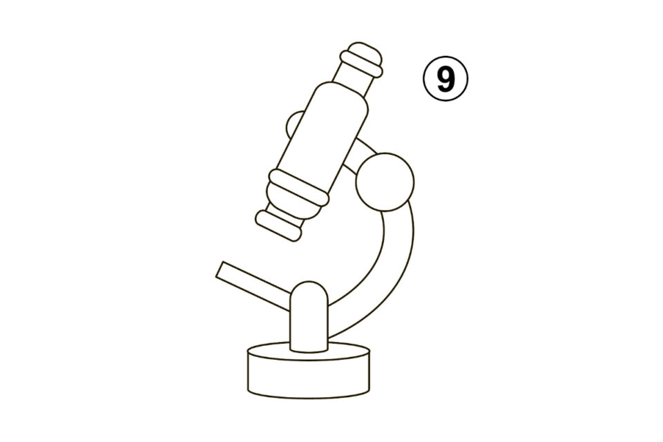How to Draw a Microscope in 11 Easy Steps - VerbNow