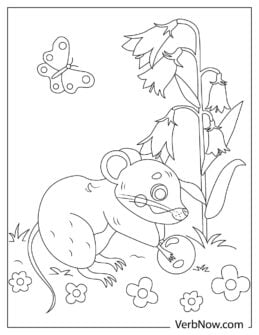 Free MOUSE Coloring Pages & Book for Download (Printable PDF) - VerbNow