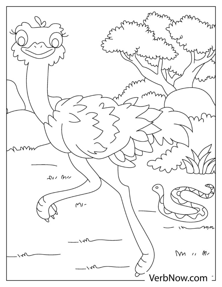 Free OSTRICH Coloring Pages for Download (Printable PDF)