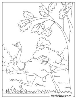 Free OSTRICH Coloring Pages for Download (Printable PDF)