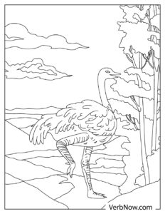 Free OSTRICH Coloring Pages for Download (Printable PDF)