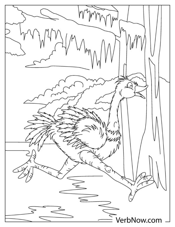 Free OSTRICH Coloring Pages for Download (Printable PDF)