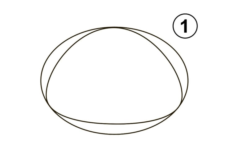 How to Draw a Pearl in 9 Easy Steps